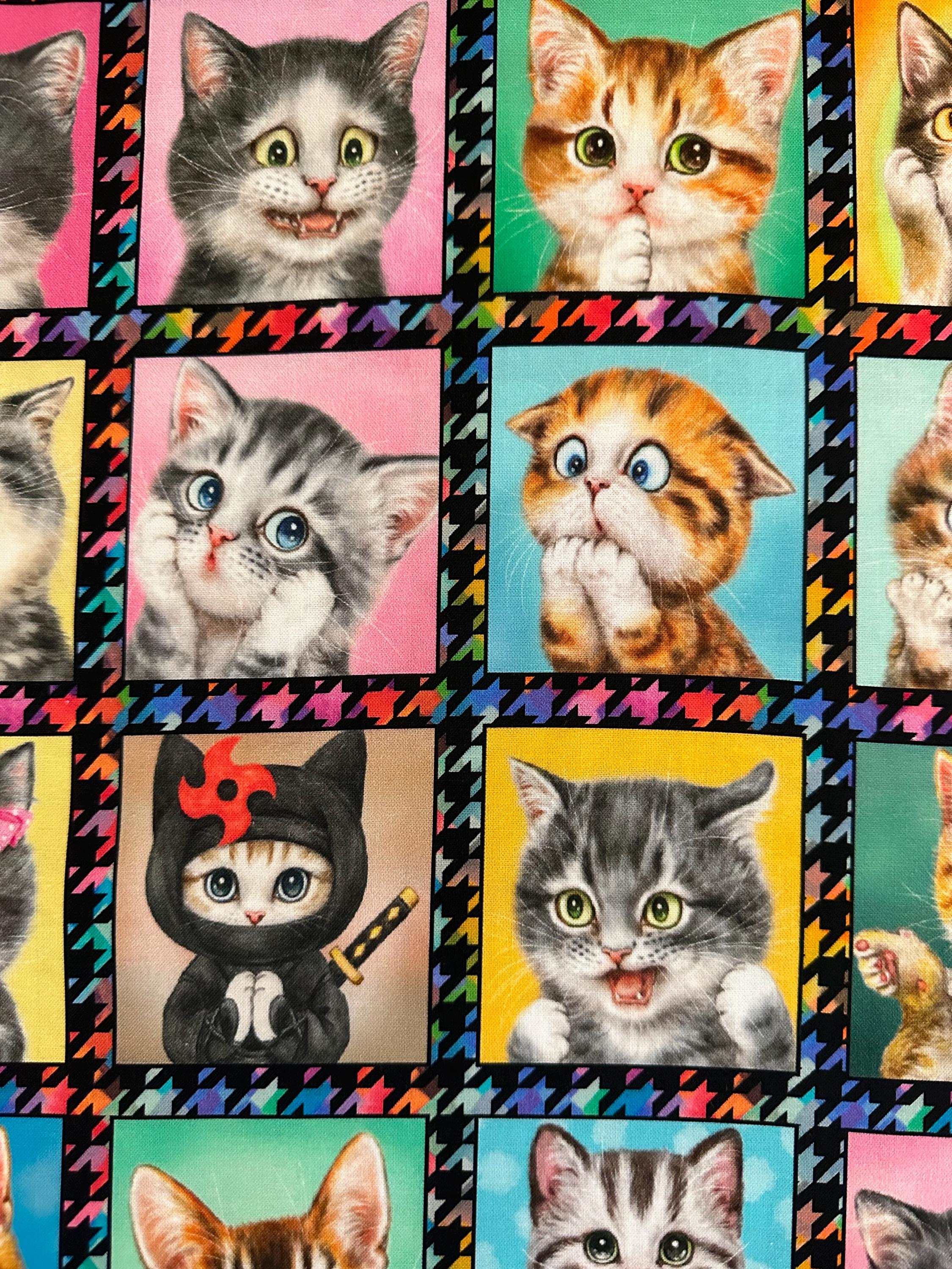 NEW! Half Yard - Instafamous Cat Blocks Squares Patches by Studioe ...