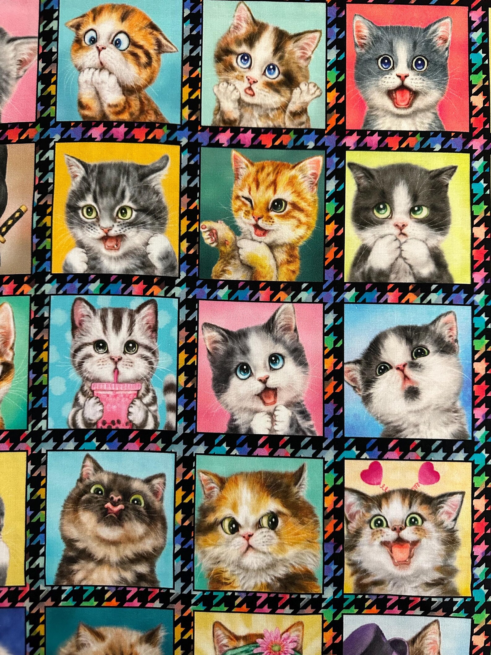 NEW! Half Yard - Instafamous Cat Blocks Squares Patches by Studioe ...