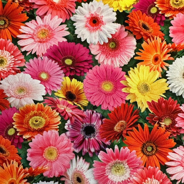 Gerber Daisy Bouquet - Etsy