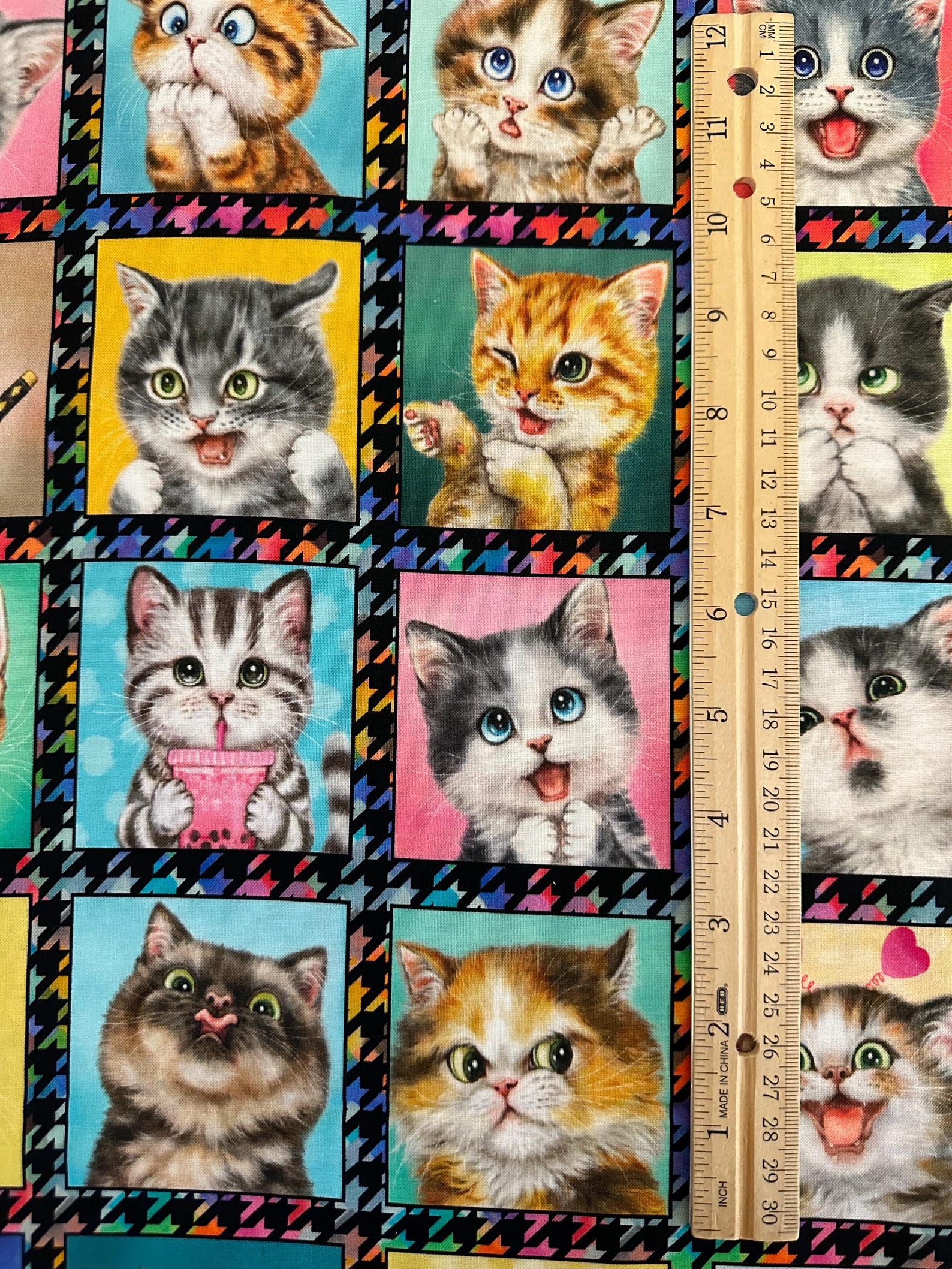 NEW! Half Yard - Instafamous Cat Blocks Squares Patches by Studioe ...