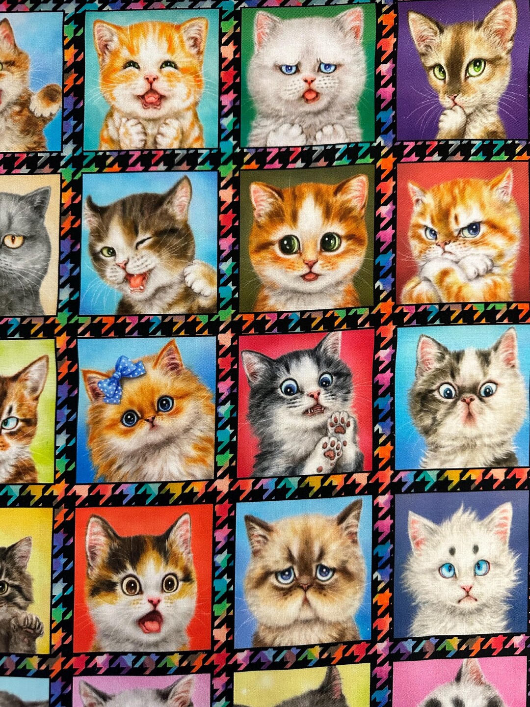 NEW! Half Yard - Instafamous Cat Blocks Squares Patches by Studioe ...