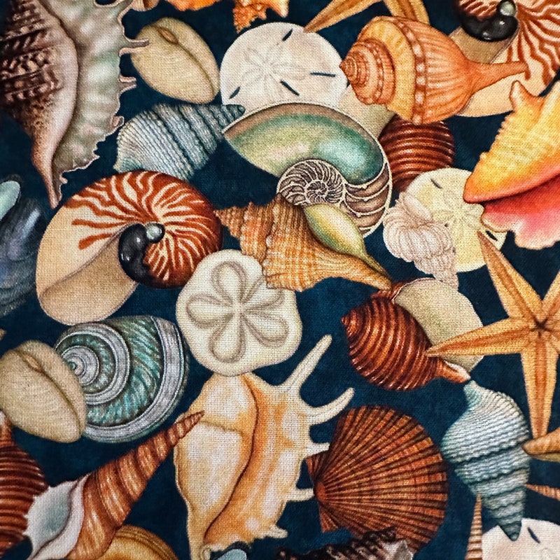 Seashell Fabric - Etsy
