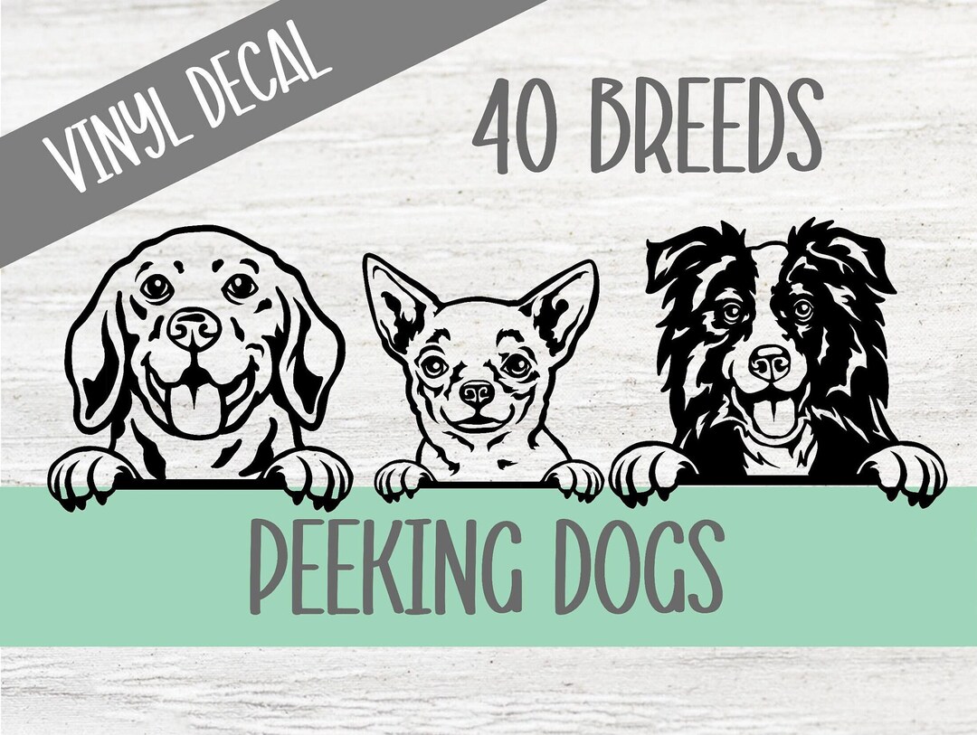 Peeking Dog Vinyl Decals/stickers beagle, Boxer, Bulldog, Collie ...