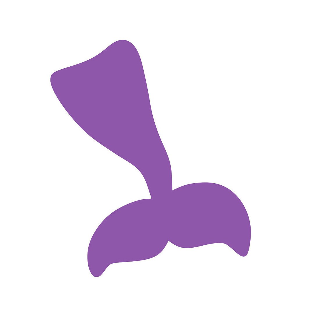 20 Pack - Paper Mermaid Tail Shapes, Mermaid Tail Shapes, Die Cut ...