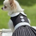 Black Goth Dog Dress, Halloween Dog Costume, Custom Made to Order Pet ...