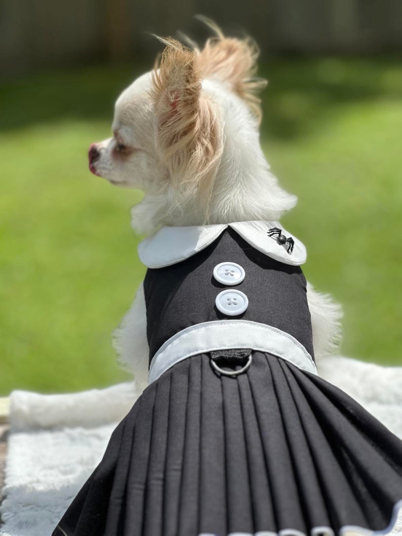 Black Goth Dog Dress, Halloween Dog Costume, Custom Made to Order Pet ...