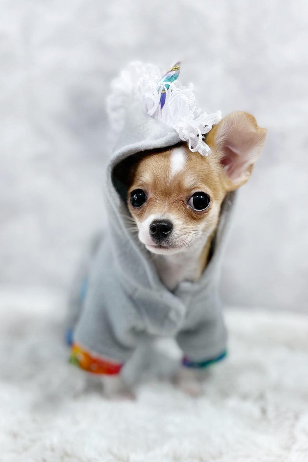 Enchanted Unicorn Dog Pajamas - Cozy Small S Handcrafted Pjs With Hood ...