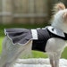 Black Goth Dog Dress, Halloween Dog Costume, Custom Made to Order Pet ...