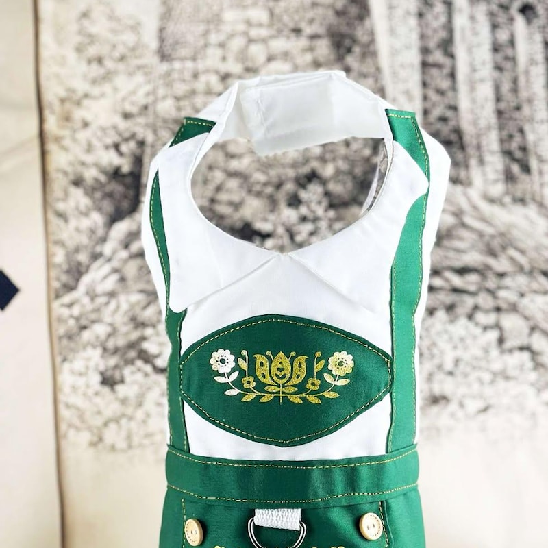 Buy Dog Costume Online In India - Etsy India