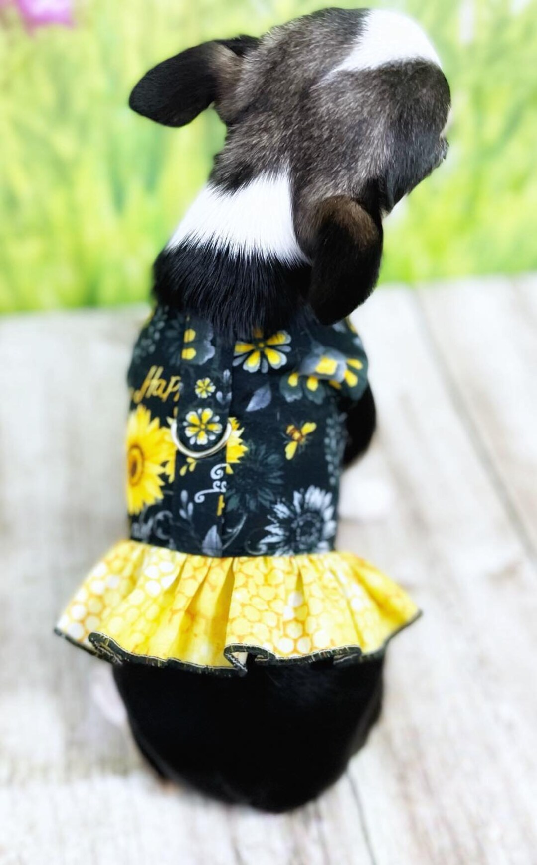 Bee Happy Sunflower Ruffle Harness for Small Pets - Fashionable & Safe ...