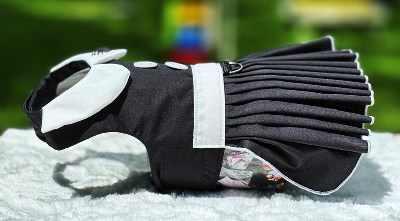 Black Goth Dog Dress, Halloween Dog Costume, Custom Made to Order Pet ...