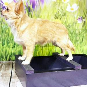Dog Show Training Stack Box Toy Adult Size Stack Training 20" X 12 ...