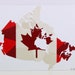 Custom Flag Map Painting, Original Painting, Custom Map Gift, Custom ...