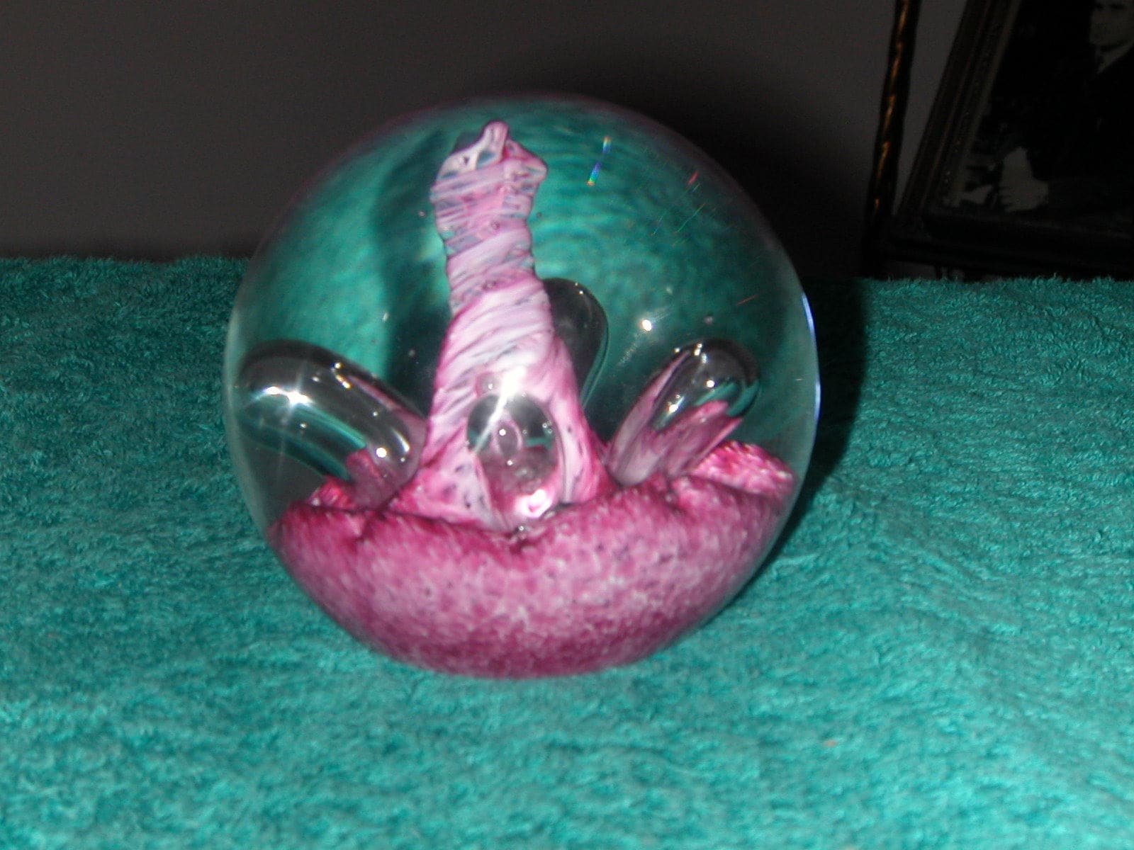 Signed Caithness MOONFLOWER Art Glass Paperweight Magenta Pink - Etsy