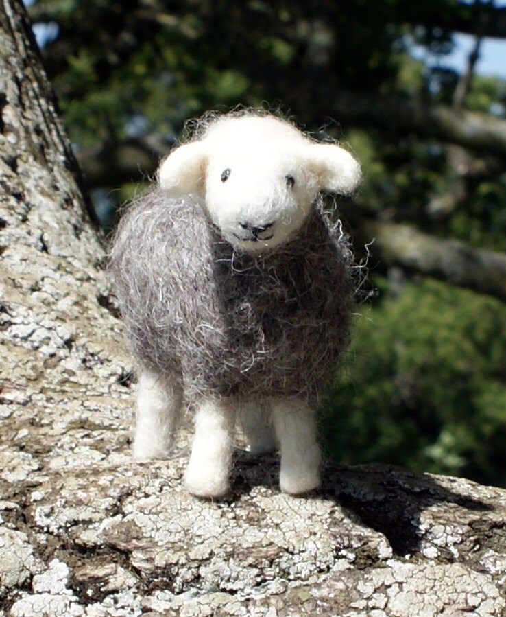 Sheep kit needle felting kit a choice of Herdwick Jacob or | Etsy