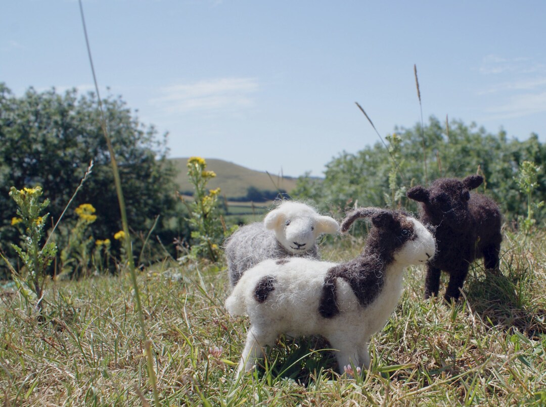 Sheep Kit Needle Felting Kit a Choice of Herdwick, Jacob or Black Welsh ...