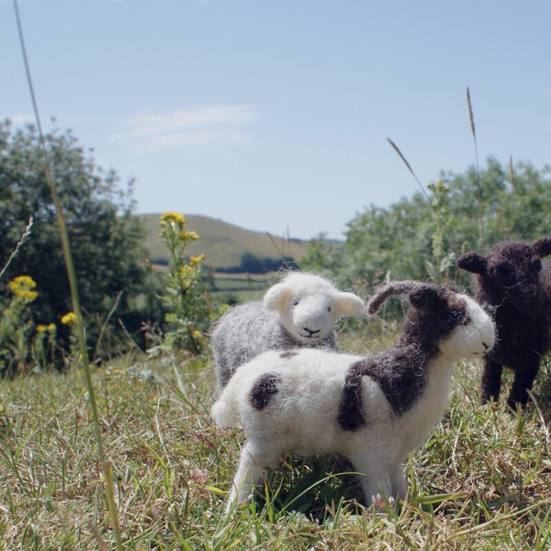 Sheep Felting Kit - Etsy