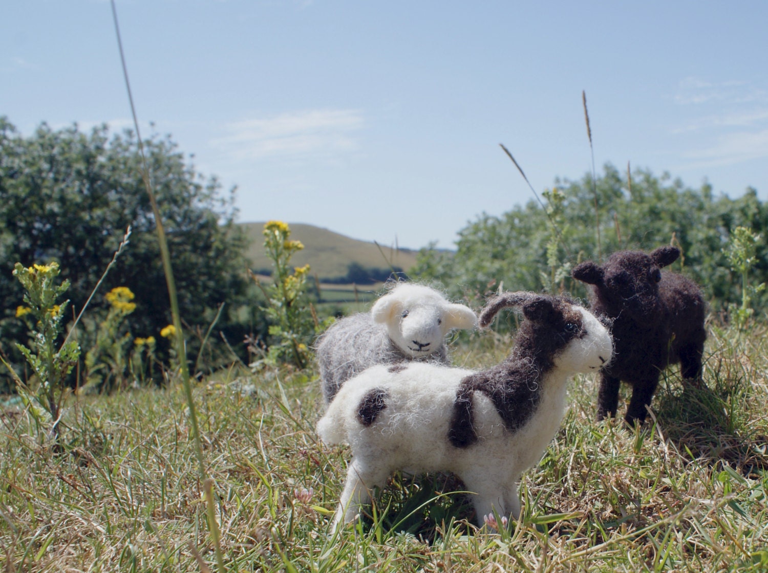 Sheep Kit Needle Felting Kit a Choice of Herdwick Jacob or - Etsy