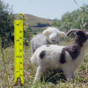 Sheep Kit Needle Felting Kit a Choice of Herdwick, Jacob or Black Welsh ...