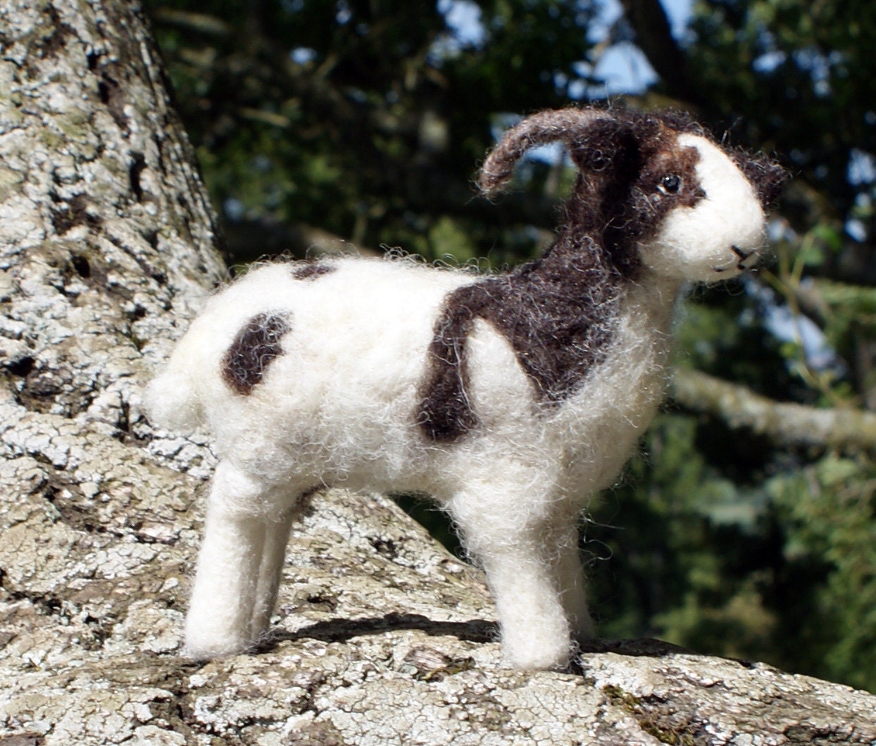 Sheep kit needle felting kit a choice of Herdwick Jacob or | Etsy