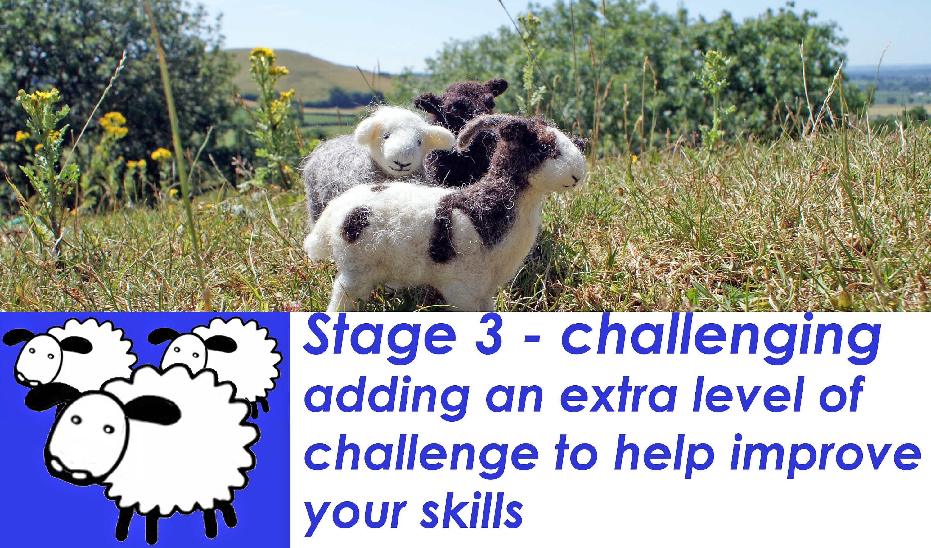 Sheep Kit Needle Felting Kit a Choice of Herdwick Jacob or - Etsy