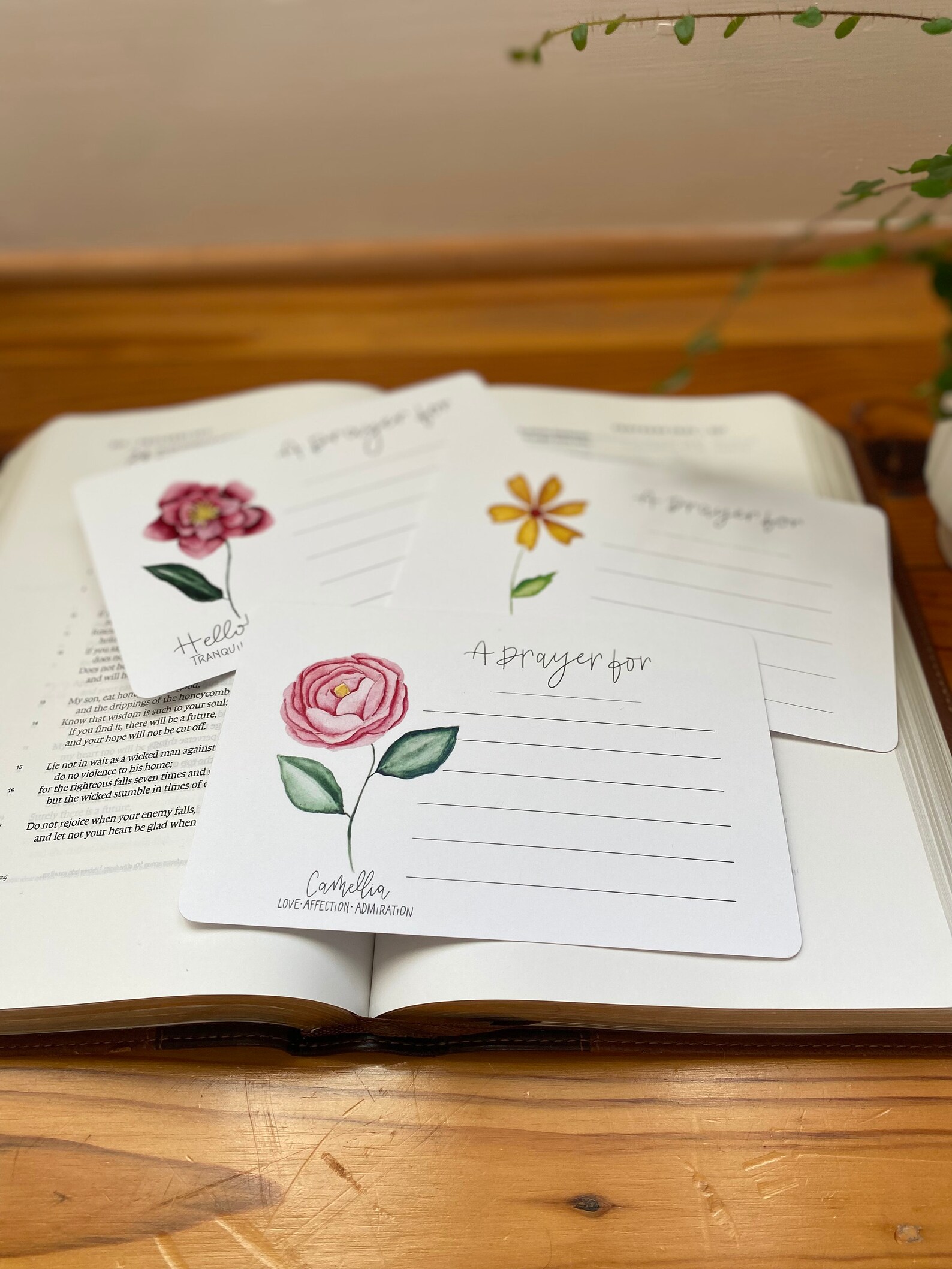 Prayer Cards for Women, Notecards to Help Women to Pray, Set of 10 ...