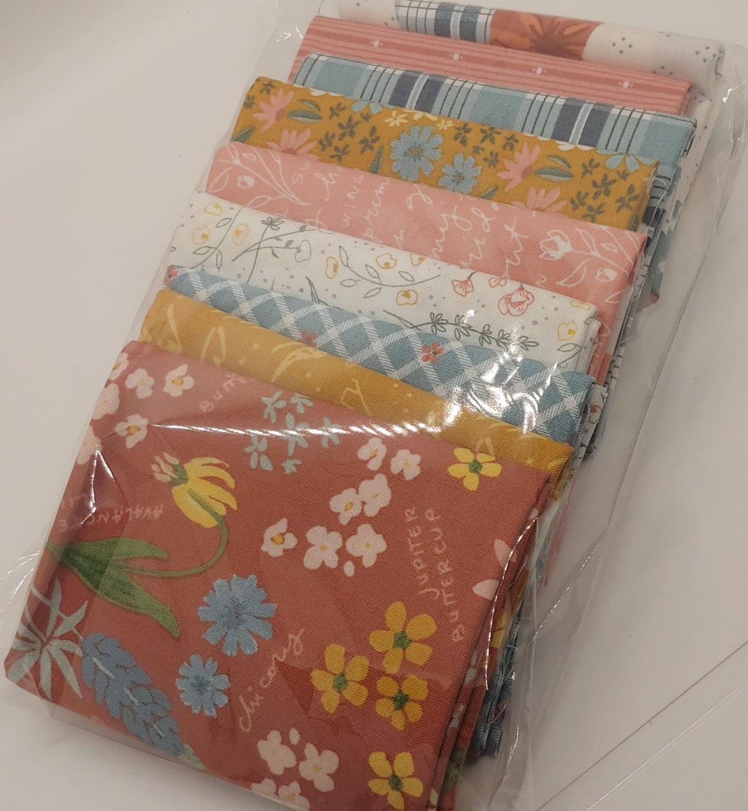 Albion Small Fat Quarter Bundle - 10 Fat Quarters - Riley Blake - Etsy