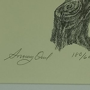 Beautiful Vintage Print ”snowy Owl" by Artist Sharon L. Rickert in 1983 ...