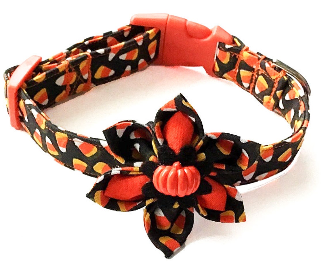 Black and Orange Candy Corn Halloween Collar for Dogs and Cats - Etsy