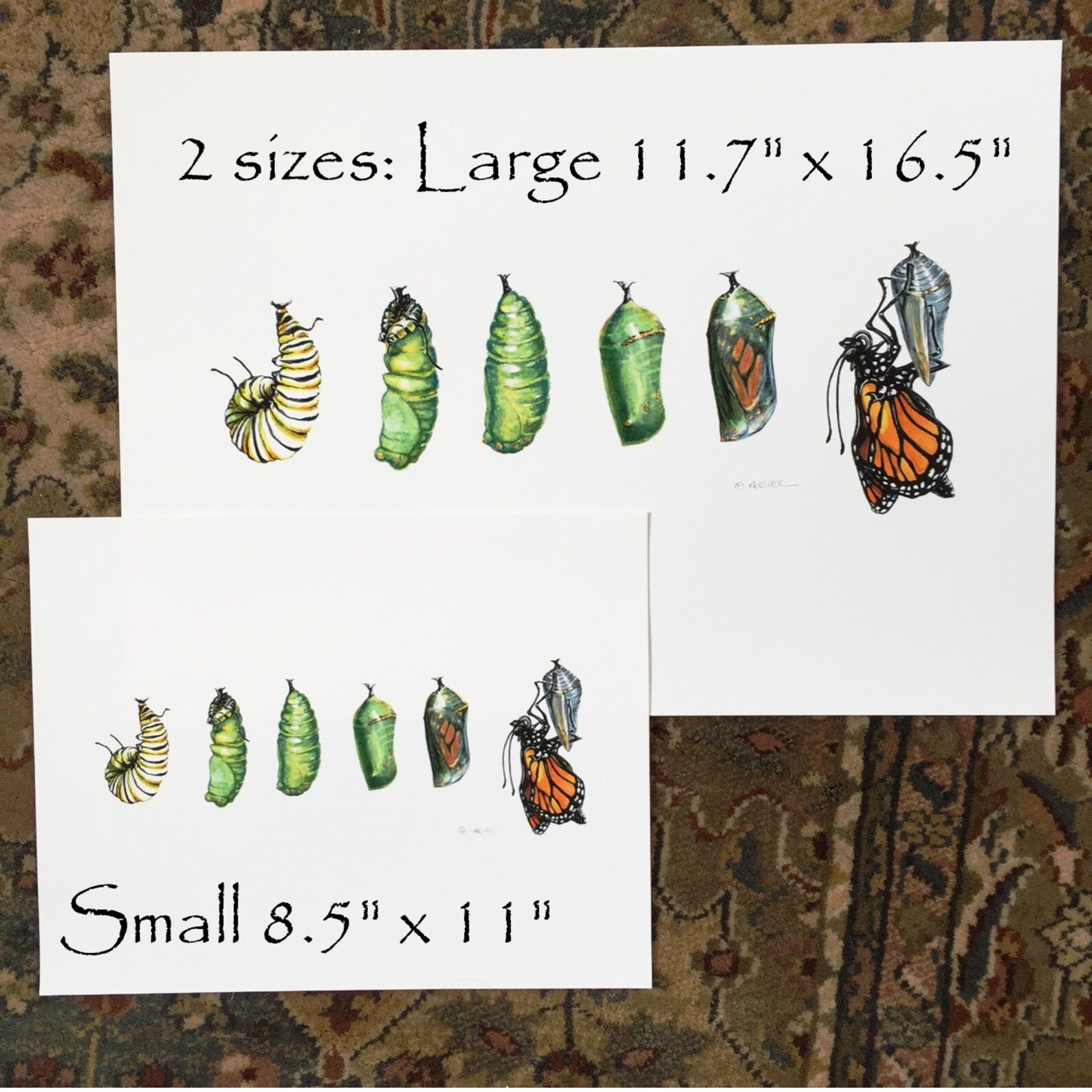 Monarch Butterfly Art Print | Etsy