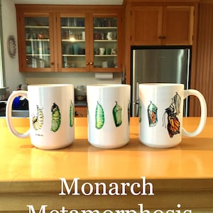 Monarch Butterfly Ceramic Mug, Monarch Metamorphosis Coffee Mug, 15 Oz ...