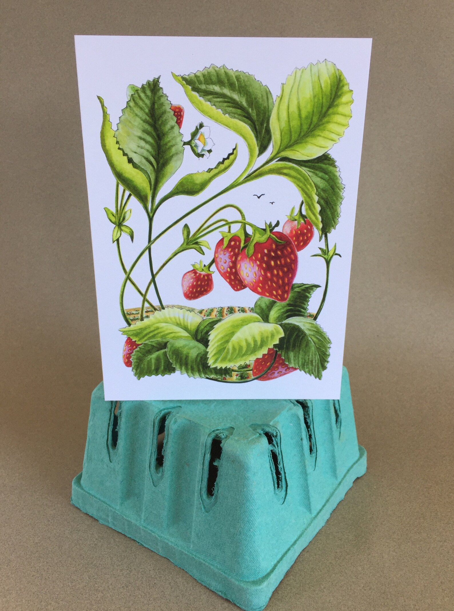 Strawberry Fields Card - Etsy