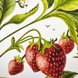 Strawberry Fields Card - Etsy