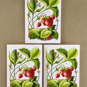Strawberry Fields Card - Etsy