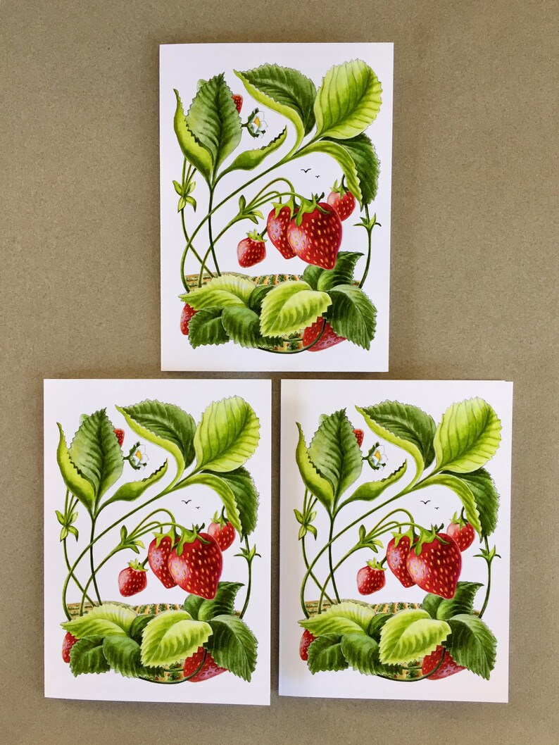 Strawberry Fields Card - Etsy