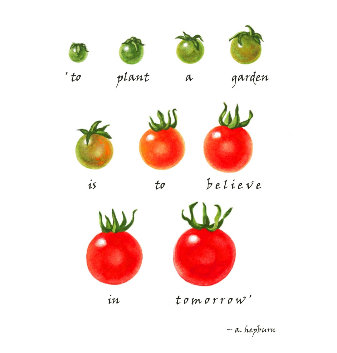 3 Inspirational Cards, Audrey Hepburn Quote With Cherry Tomatoes - Etsy