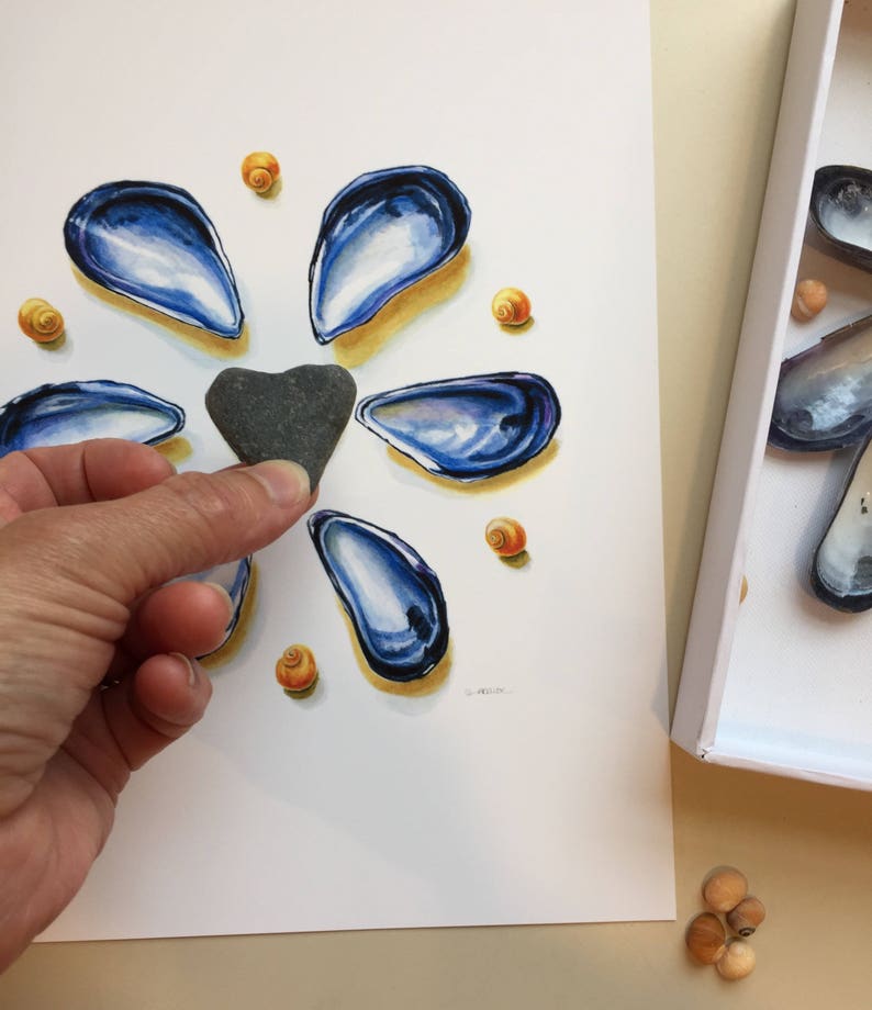 Shell Art Print Maine Mussel Shells Heart-shaped Beach Stone - Etsy