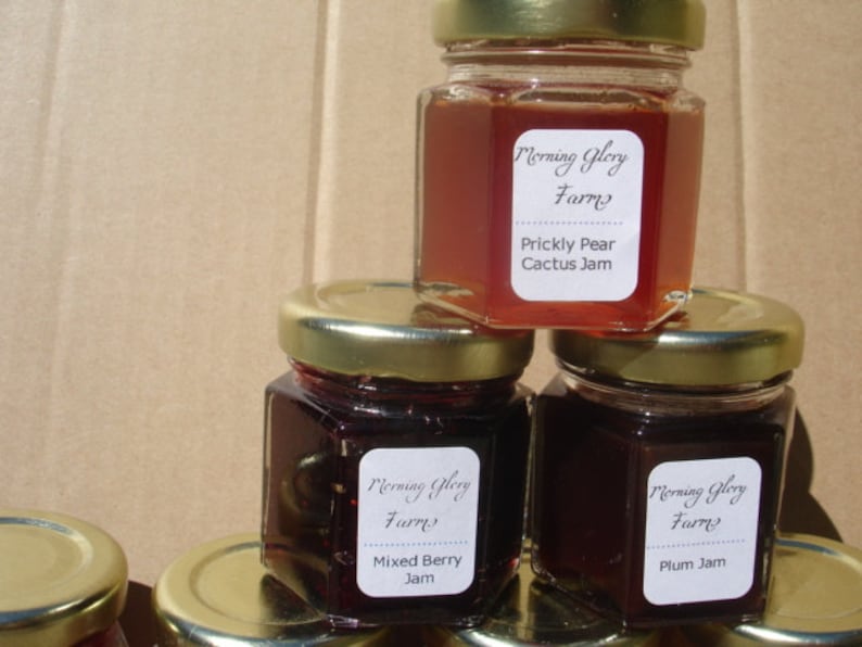 3 Jars of Homemade Artisan 1.5 Oz. Jams, Jellies & Butters - Choose ...