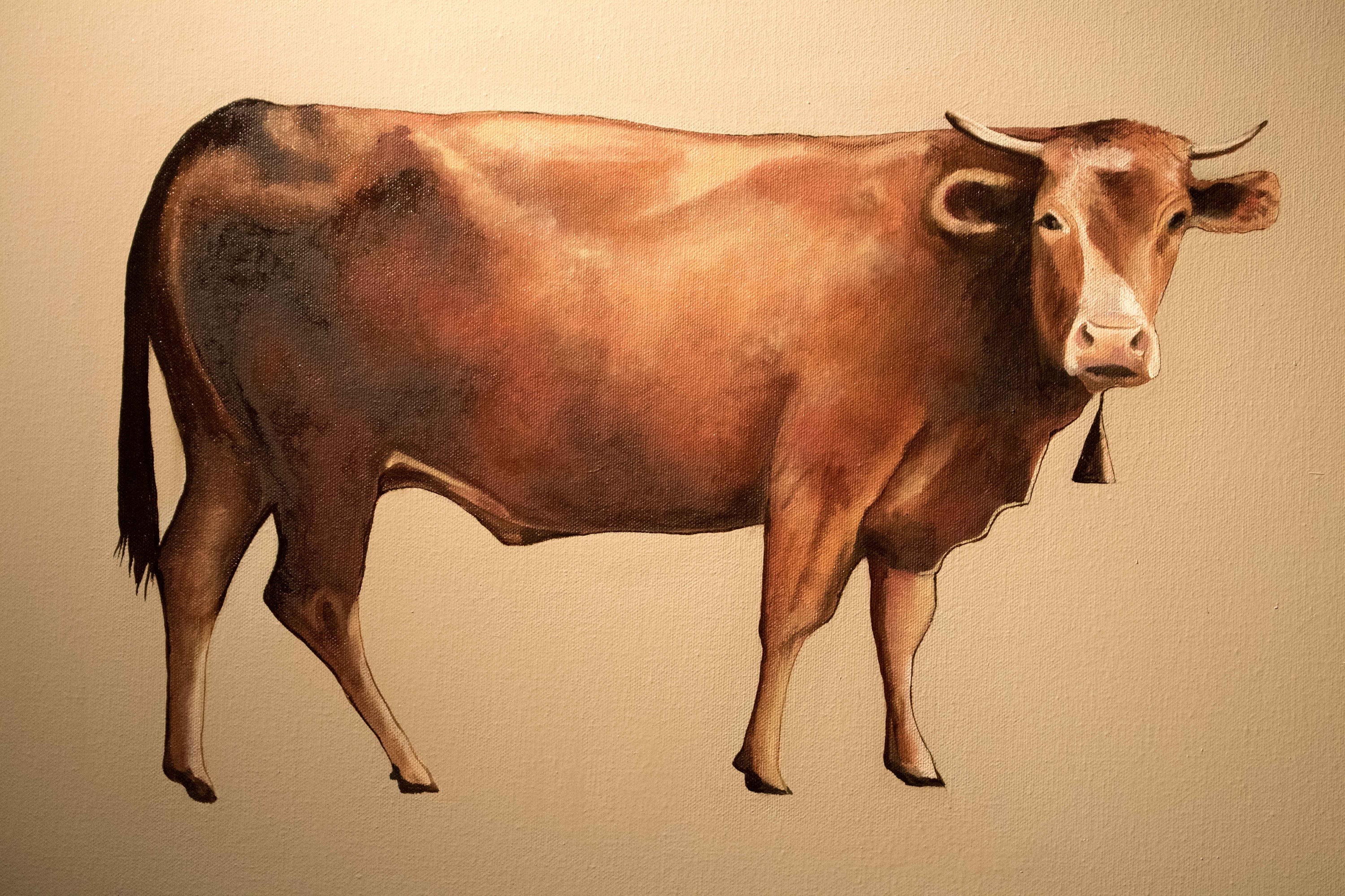 Original Handmade Painting Oil on Canvas Cm 50x70, Portrait of an OX - Etsy