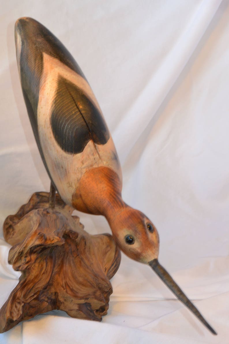 Avocet at the Beach - Etsy