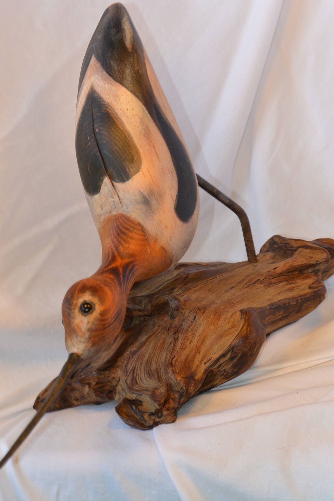 Avocet at the Beach - Etsy