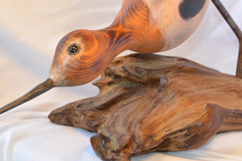 Avocet at the Beach - Etsy