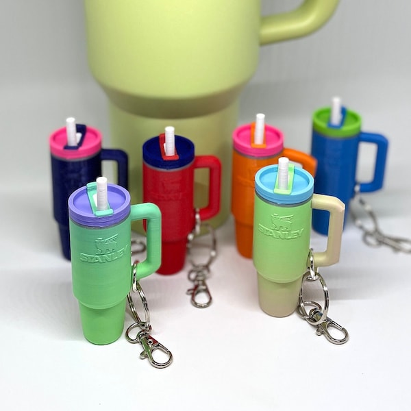 Stanley Cup Mini Bogg - Etsy