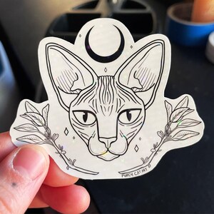 STICKER: Hairless Cat - Etsy
