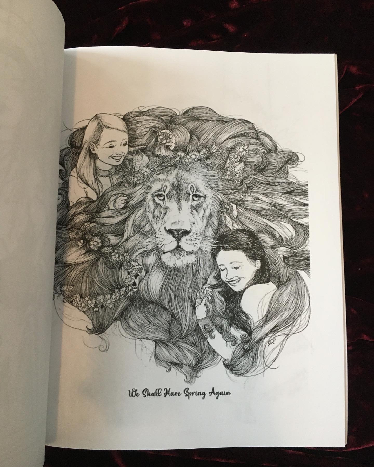 Faeries & Fables Coloring Book - Etsy