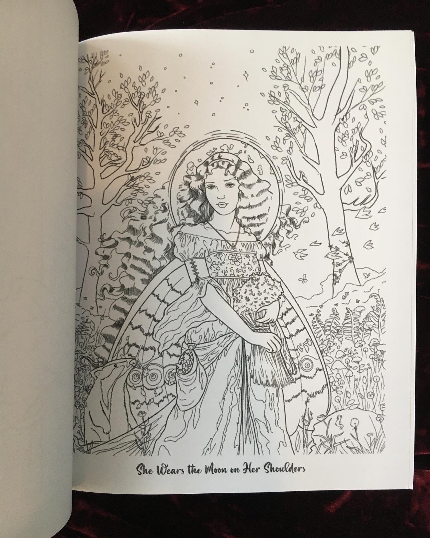 Faeries & Fables Coloring Book - Etsy