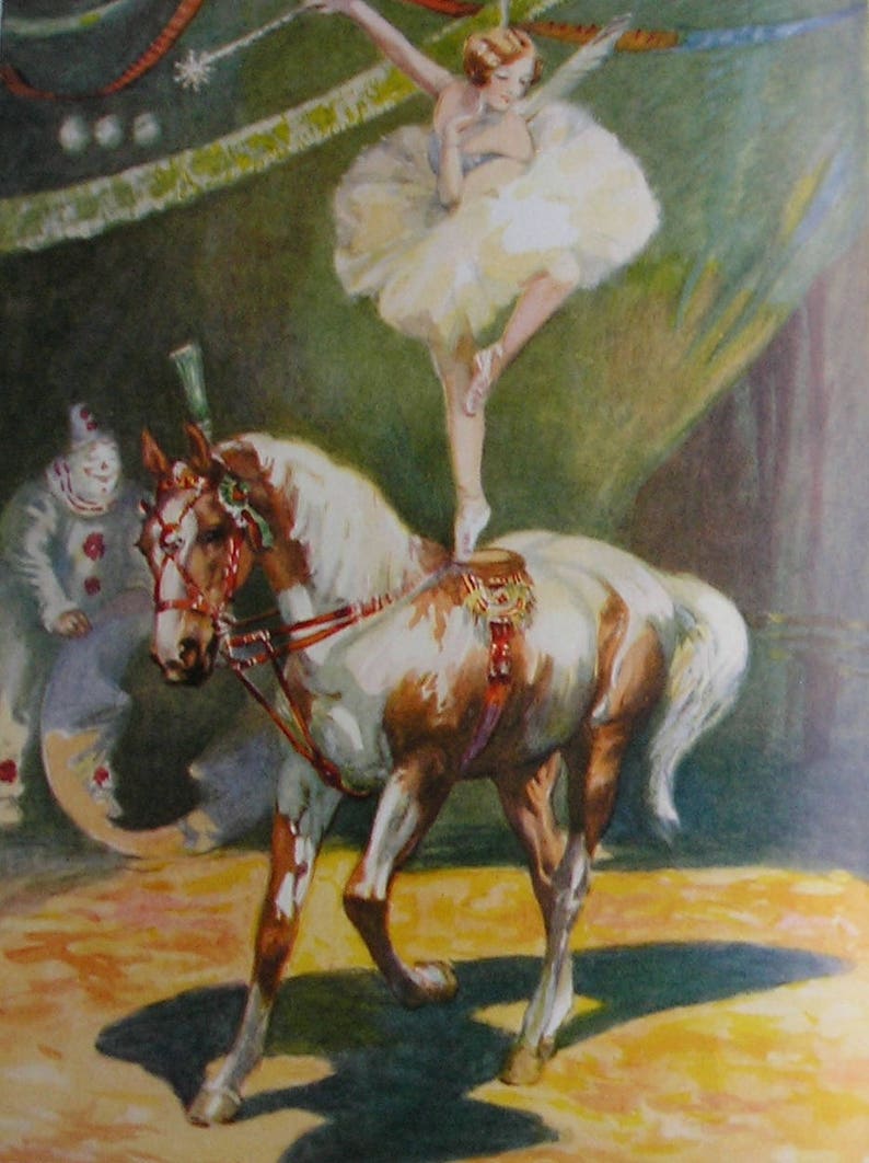 Circus Pony in All His Glory Ballet Act on Back of Piebald Pony Pony ...