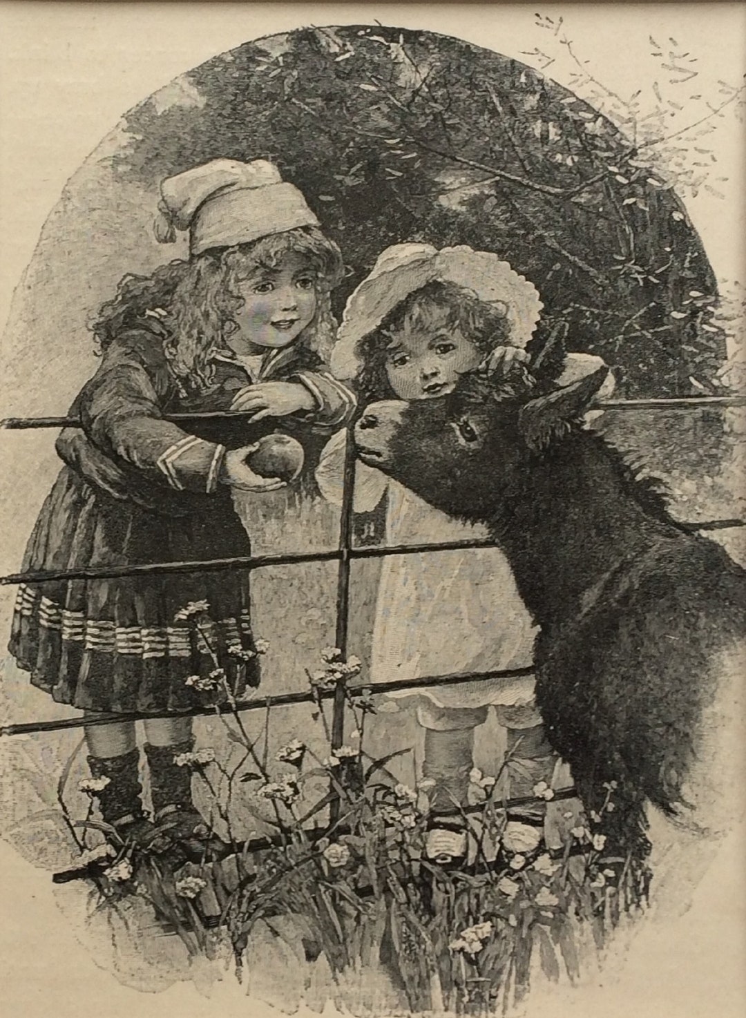 Little Girls Feeding Neddy the Donkey Original Antique - Etsy
