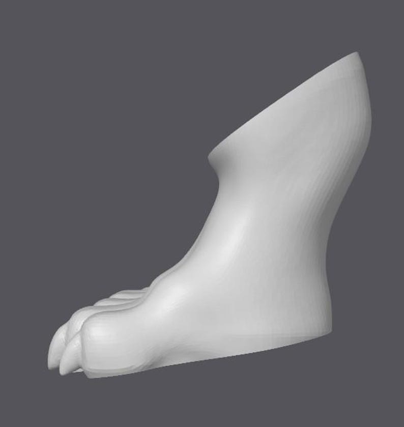 3D File Dragon Feetpaws – DIY for Individual Dragon Footpaws - Etsy