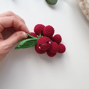 Grapes Baby Gym Toys 1 Pc - Rattles Play Gym,baby Shower, Fruits Play ...